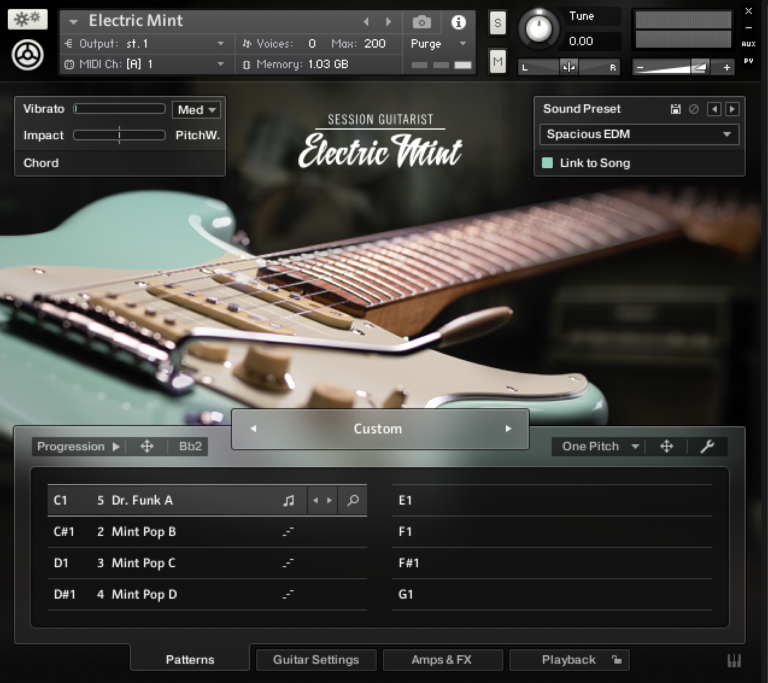 Native Instruments / Session Guitarist Electric Mint をレビュー | DAW LESSON